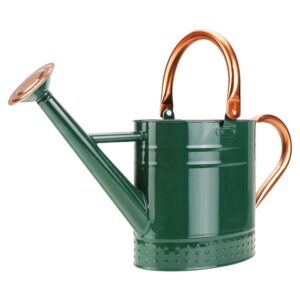 megawodar 1 gallon metal watering can with removable spout, nice galvanized steel water can with embossed design for indoor and outdoor plants