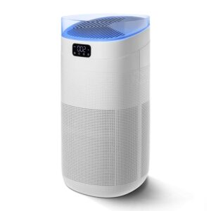 compass home smart air purifier - h13 hepa filter 3-stage air filtration for allergies, pollen, dust, odors, smoke, pet dander, bacteria with auto air sensor and sleep mode for large room air purifier