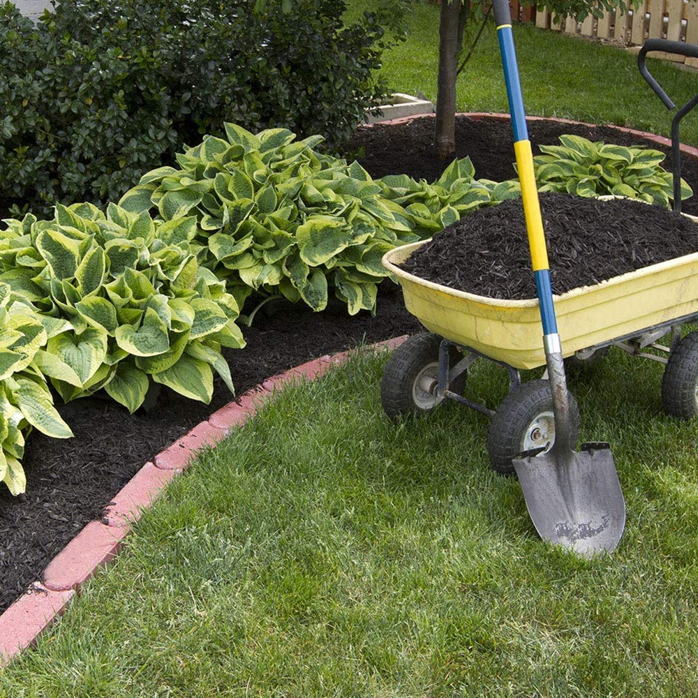 Amazing Deal - 24 Hosta Bare Roots Plants w/Planting Shovel - Mixed Heart-Shaped, Rich Green Foliage, Attracts Butterflies, Hummingbirds & Pollinators, Low Maintenance & Extremely Hardy - Zones 3–9