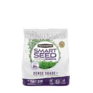 pennington smart seed dense shade grass mix 3 lb