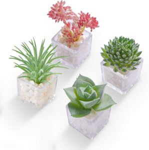 cute succulent fridge magnet, 4-pieces 3d plant magnets for refrigerator whiteboard mini decorative magnets for locker kitchen office (plant 1)