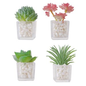 Cute Succulent Fridge Magnet, 4-Pieces 3D Plant Magnets for Refrigerator Whiteboard Mini Decorative Magnets for Locker Kitchen Office (Plant 1)