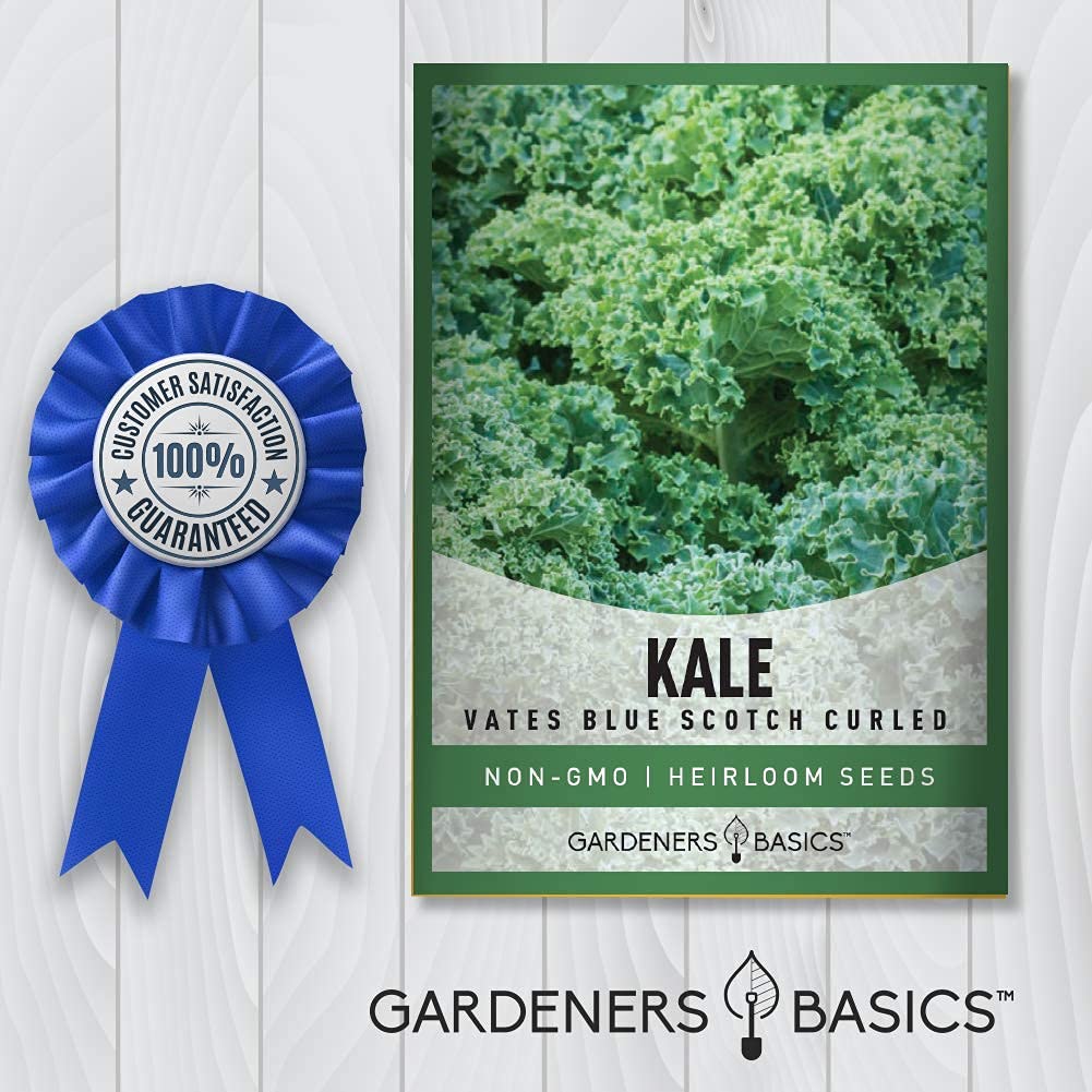 Gardeners Basics, Kale Seeds for Planting, Heirloom, Non-GMO Vegetable Variety - Great for Indoor, Outdoor, and Hydroponics Gardening (Vates Blue Scotch Curled)