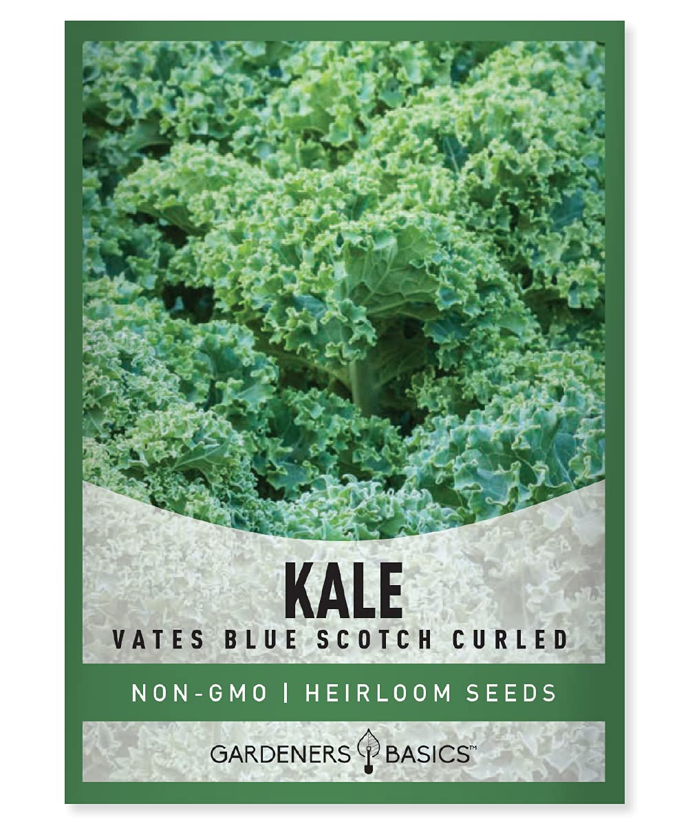 Gardeners Basics, Kale Seeds for Planting, Heirloom, Non-GMO Vegetable Variety - Great for Indoor, Outdoor, and Hydroponics Gardening (Vates Blue Scotch Curled)