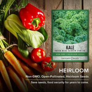 Gardeners Basics, Kale Seeds for Planting, Heirloom, Non-GMO Vegetable Variety - Great for Indoor, Outdoor, and Hydroponics Gardening (Vates Blue Scotch Curled)