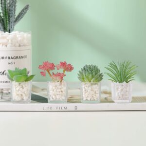 Cute Succulent Fridge Magnet, 4-Pieces 3D Plant Magnets for Refrigerator Whiteboard Mini Decorative Magnets for Locker Kitchen Office (Plant 1)