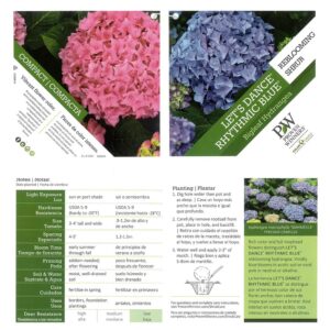 Proven Winner Let's Dance Rhythmic Hydrangea, 2 Gallon, Lustrous Green Foliage with Rich Blue Blooms