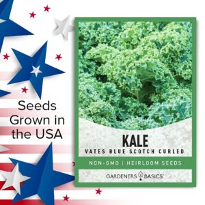 Gardeners Basics, Kale Seeds for Planting, Heirloom, Non-GMO Vegetable Variety - Great for Indoor, Outdoor, and Hydroponics Gardening (Vates Blue Scotch Curled)