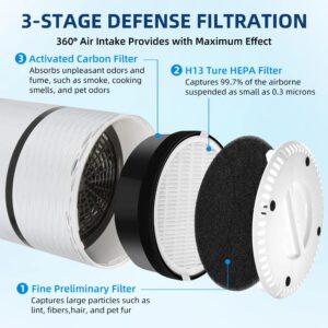 LV-H132 Replacement Filter for LEVOIT LV-H132 Air Purifier, 3-in-1 H13 True HEPA Filter Replacement Part LV-H132-RF, 2 Pack