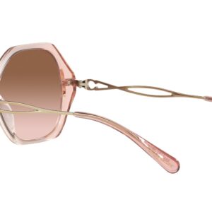 Coach HC8315 Sunglasses, Gradient Transparent Peach/Brown Rose Gradient, 57 mm