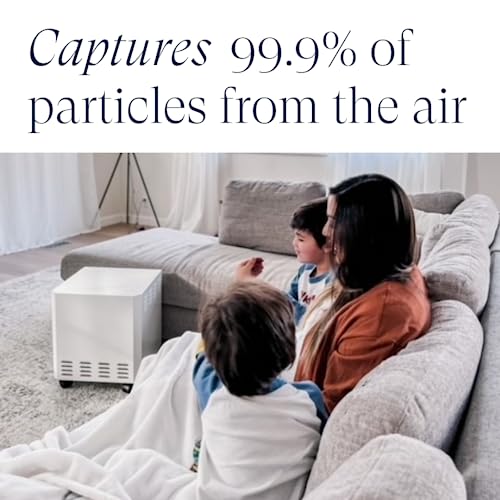 EnviroKlenz HEPA Air Filter Replacement For Air Purifiers | Replace every 1 year for everyday use | Captures 99.9% Of Particles From The Air | Compatible with all Enviroklenz Air System Purifiers