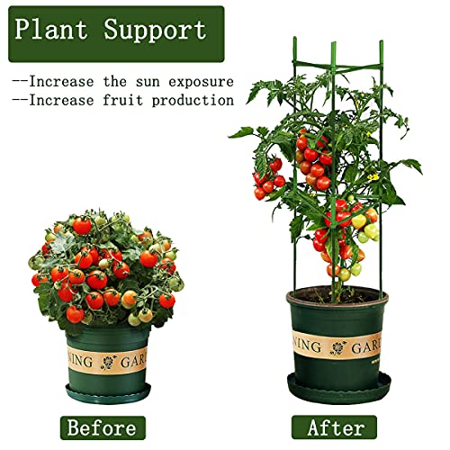 Tomato Cage, 3-Pack Garden Plant Support Tomato Cage, Garden Trellis for Climbing Plants, Plant Trellis Kits Plant Stakes & Support for Vertical Climbing Plants