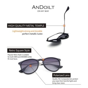 ANDOILT Vintage Polarized Sunglasses for Women Men UV Protection Retro Round Mirrored Lens Brown Gradient & Grey Gradient Lens