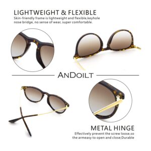 ANDOILT Vintage Polarized Sunglasses for Women Men UV Protection Retro Round Mirrored Lens Brown Gradient & Grey Gradient Lens