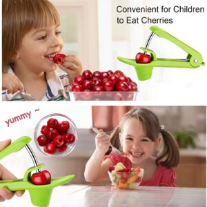 Cherry Pitter Olive Pitter Tool, Cherry Pitter Remover, Fruit Pit Core Remover with Space-Saving Lock Design for Make Fresh Cherry Dishes, Cherry Pie and Jam and Cocktail Cherries