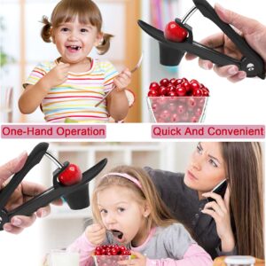 Cherry Pitter Tool, Olive Pitter Tool, Cherry Pitter Remover, Cherry Core Remover Tool with Space-Saving Lock Design, Pit Remover for Cherries (Black)