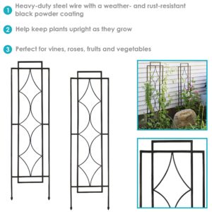 Sunnydaze 2-Piece Chic Diamonds Design Garden Trellis for Climbing Plants Set - Metal Decorative Outdoor Plant and Flower Trellis - 48-Inch Tall Each - Black