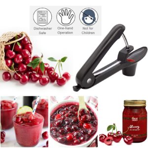 Cherry Pitter Tool, Olive Pitter Tool, Cherry Pitter Remover, Cherry Core Remover Tool with Space-Saving Lock Design, Pit Remover for Cherries (Black)