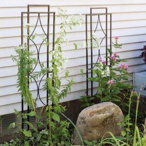 Sunnydaze 2-Piece Chic Diamonds Design Garden Trellis for Climbing Plants Set - Metal Decorative Outdoor Plant and Flower Trellis - 48-Inch Tall Each - Black