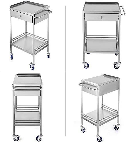 TFCFL 2-Layer Lab Cart, Stainless Steel, 20.9" x 16.5" x 34", 28kg, 4 Lockable Wheels, Omnidirectional, Wide Applications