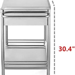 TFCFL 2-Layer Lab Cart, Stainless Steel, 20.9" x 16.5" x 34", 28kg, 4 Lockable Wheels, Omnidirectional, Wide Applications