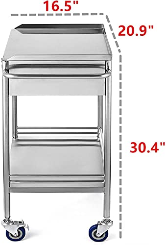 TFCFL 2-Layer Lab Cart, Stainless Steel, 20.9" x 16.5" x 34", 28kg, 4 Lockable Wheels, Omnidirectional, Wide Applications