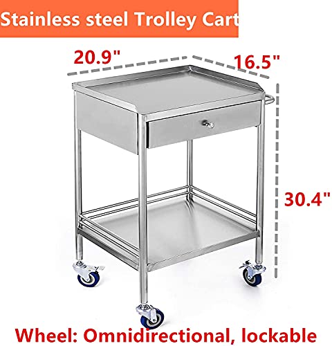 TFCFL 2-Layer Lab Cart, Stainless Steel, 20.9" x 16.5" x 34", 28kg, 4 Lockable Wheels, Omnidirectional, Wide Applications