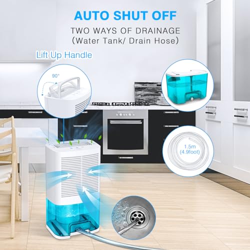 Levoair Dehumidifier 68oz(2000ml) Small Dehumidifier with Drain Hose for Up to 650 sq.ft Ultra Quiet Mini Portable Air Dehumidifier for Home Basements Bathroom Bedroom Closet Kitchen RV