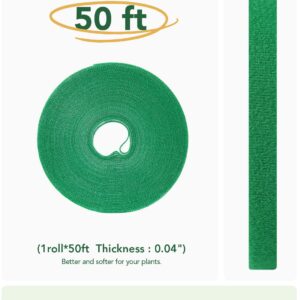 LE TAUCI Plant Ties, Garden Tape for Plant, Reusable Adjustable Thicker Support for Growing, Strong Grip, Tomato Vines Indoor Outdoor, 50 ft x 0.47 Inch, 1 roll, Green