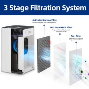 112 Air Purifier Replacement Filter: Compatible with MA Series 112 Air Purifier V2.0, 3 in 1 Pre-filter, H13 True HEPA Filter and Activated Carbon Filter, 2 Packs