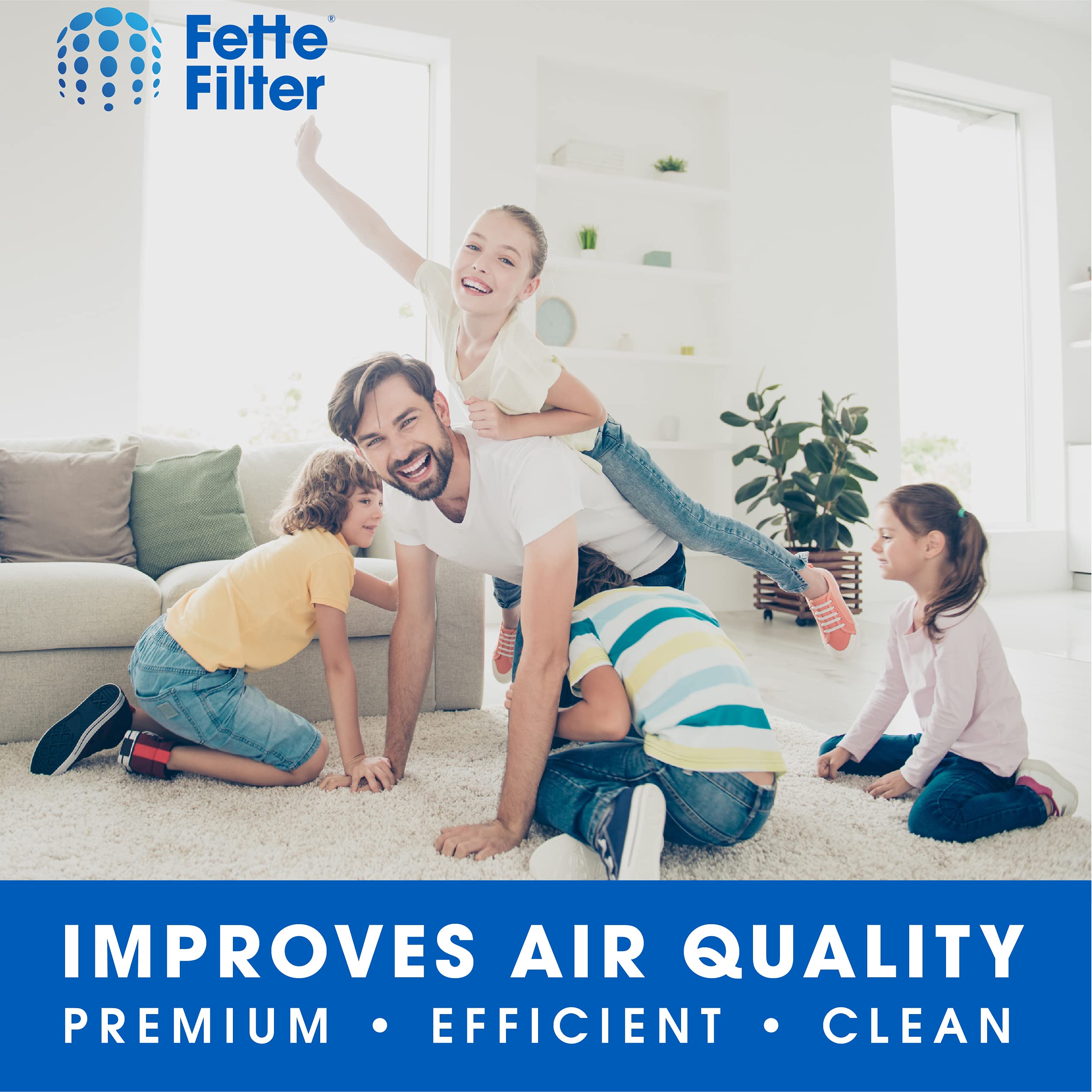 Fette Filter - 311 Air Purifier Replacement Filters, Compatible with Blueair Pure 311 High-efficiency 2-in-1 Filtration Systems, Particle Filter + Carbon Filter (Pack of 2)