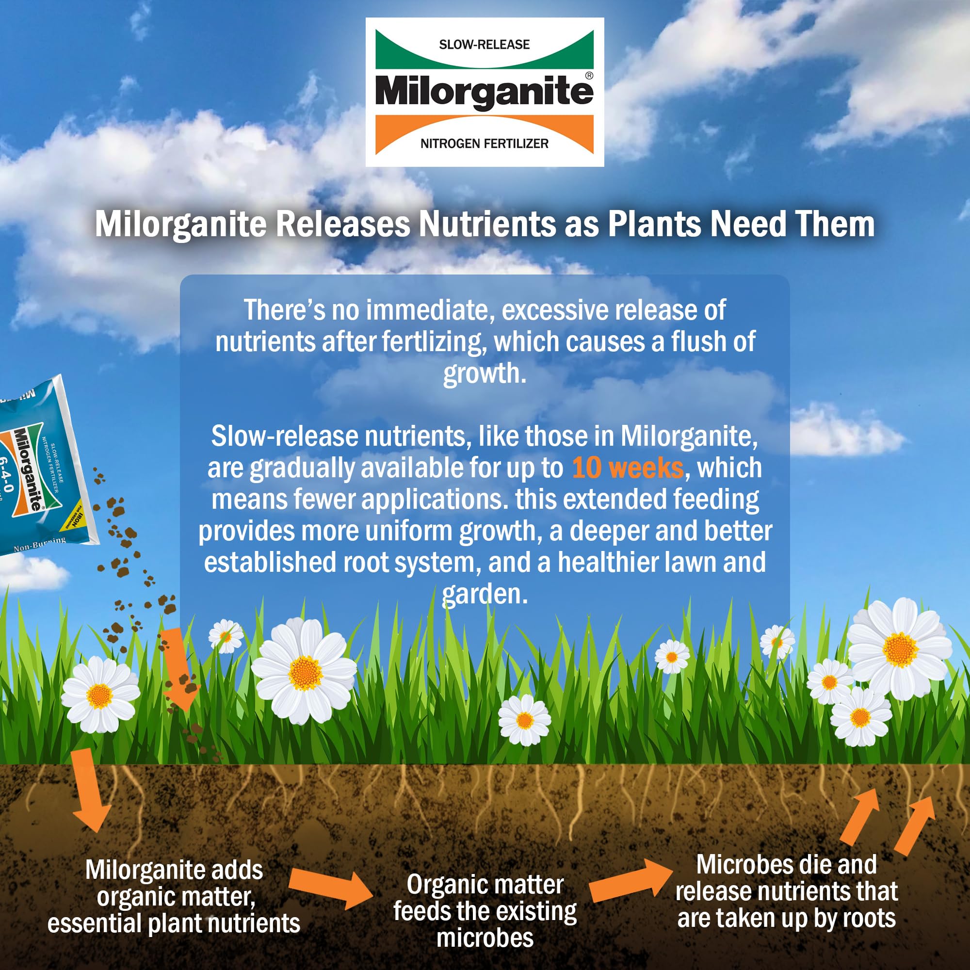 Milorganite All-Purpose Eco-Friendly Slow-Release Nitrogen Lawn Fertilizer 6-4-0, 32lb