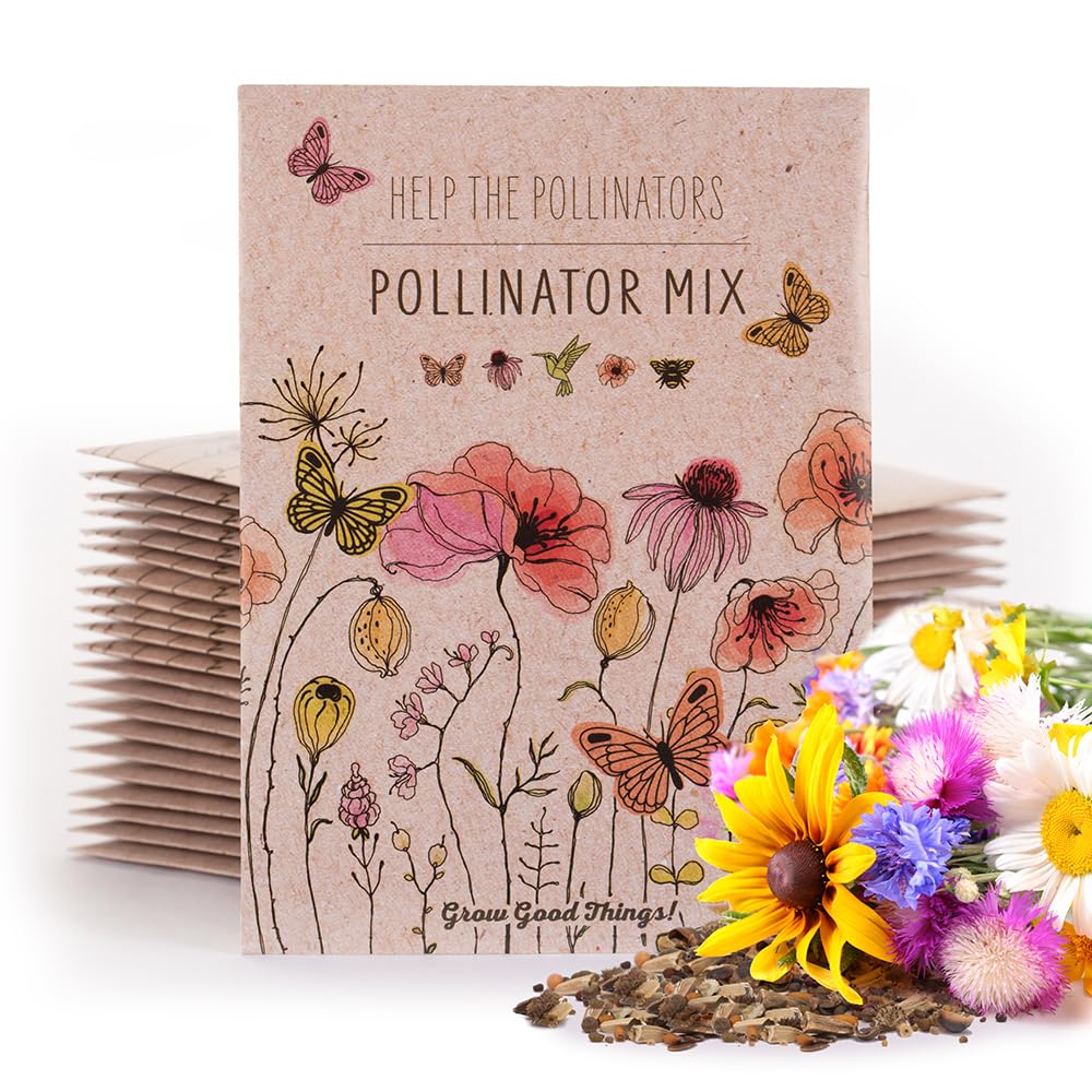 Bentley Seeds Pollinator Seed Mix - Pre-Filled, Non-GMO, Non-Coated Butterfly Seed Packets - 25 Annual Wildflower Seed Packs - Perfect Eco-Friendly Gift