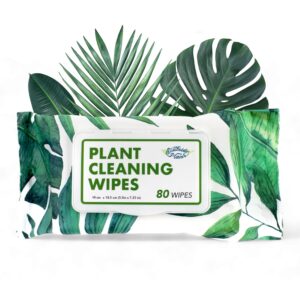 plant cleaning wipes by southside plants - gentle, plant-based wipes for shiny leaves and better photosynthesis - unscented, extra thick waffle weave leaf wipes for indoor & outdoor plants - 80 ct