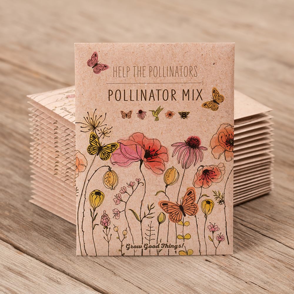 Bentley Seeds Pollinator Seed Mix - Pre-Filled, Non-GMO, Non-Coated Butterfly Seed Packets - 25 Annual Wildflower Seed Packs - Perfect Eco-Friendly Gift