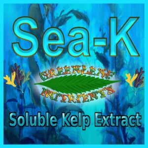 Organic Sea-K for Plants Seaweed and Kelp Fertilizer Supplement Concentrated Extract Powder Nutrient