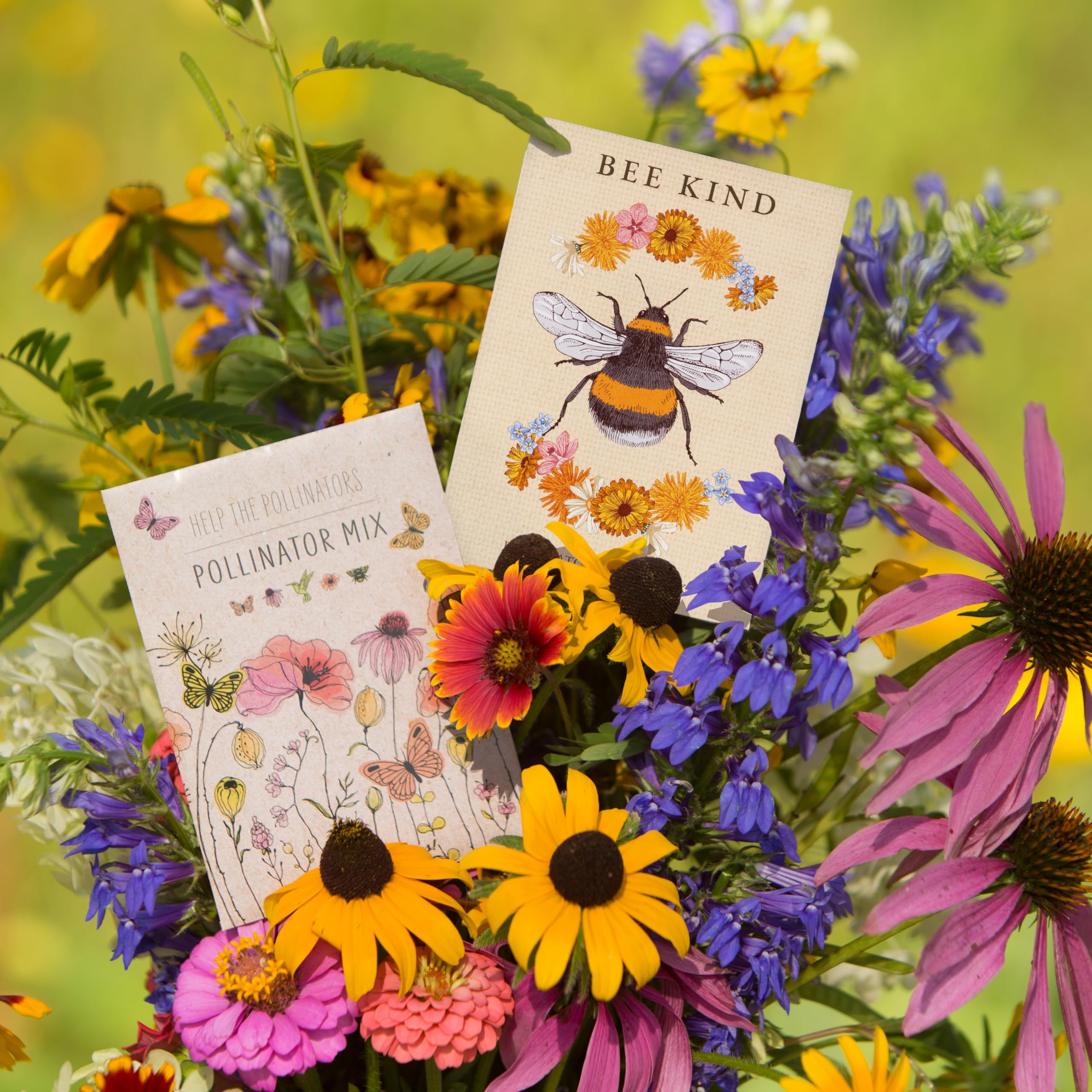 Bentley Seeds Pollinator Seed Mix - Pre-Filled, Non-GMO, Non-Coated Butterfly Seed Packets - 25 Annual Wildflower Seed Packs - Perfect Eco-Friendly Gift