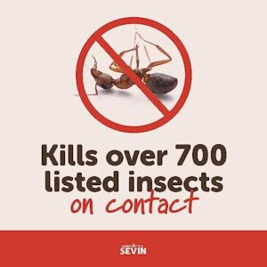 Sevin Insect Killer Ready to use 1 Gallon