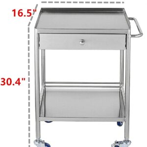 YIYIBYUS Stainless Steel Cart 2 Layer Medical Dental Laboratory Rolling Cart Mobile Equipment Serving Carts with Silent Wheel Trolley Cart