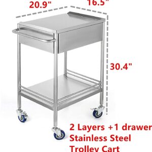 YIYIBYUS Stainless Steel Cart 2 Layer Medical Dental Laboratory Rolling Cart Mobile Equipment Serving Carts with Silent Wheel Trolley Cart