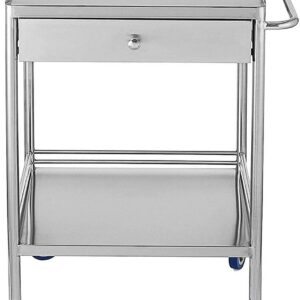 YIYIBYUS Stainless Steel Cart 2 Layer Medical Dental Laboratory Rolling Cart Mobile Equipment Serving Carts with Silent Wheel Trolley Cart