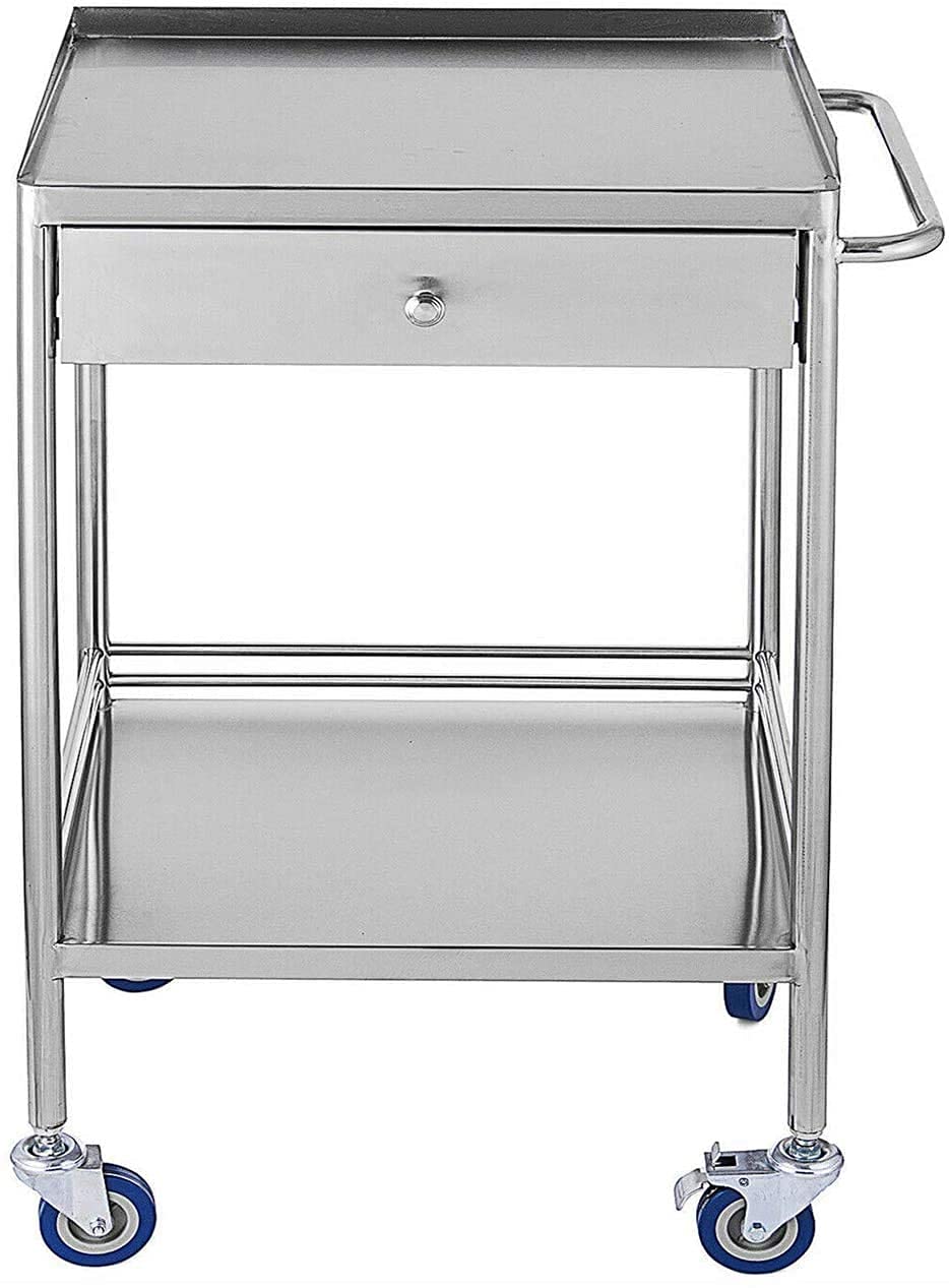 YIYIBYUS Stainless Steel Cart 2 Layer Medical Dental Laboratory Rolling Cart Mobile Equipment Serving Carts with Silent Wheel Trolley Cart