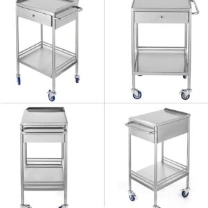 YIYIBYUS Stainless Steel Cart 2 Layer Medical Dental Laboratory Rolling Cart Mobile Equipment Serving Carts with Silent Wheel Trolley Cart