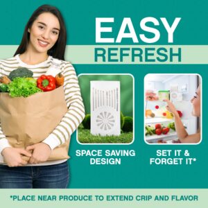 Fresh Nest Refrigerator Deodorizer with Zeolites (1-Pack) - Odor Eliminator for Fridge & Freezer - Outshines Baking Soda and Bamboo Charcoal Bags - Long-Lasting, & Safe