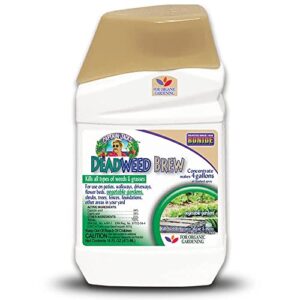 bonide captain jack's deadweed brew, 16 oz concentrate for all types of weeds and grasses, for organic home gardening