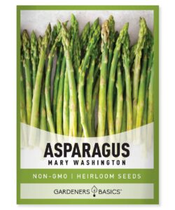 gardeners basics, asparagus seeds for planting - mary washington non-gmo perennial vegetable variety- 2 grams seeds great for spring and early summer gardens