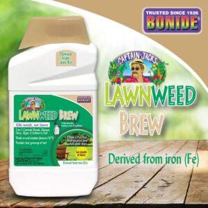 Bonide Captain Jack's Lawnweed Brew, 32 oz Concentrate, Fast-Acting Formula Controls Weeds, Moss, Algae, Lichens & Disease