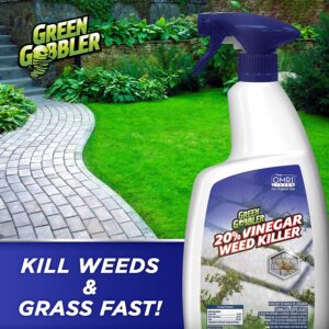 Green Gobbler 20% Vinegar Weed & Grass Killer | Natural and Organic | Concentrated | 32 fl. oz. Spray | Glyphosate Free Herbicide