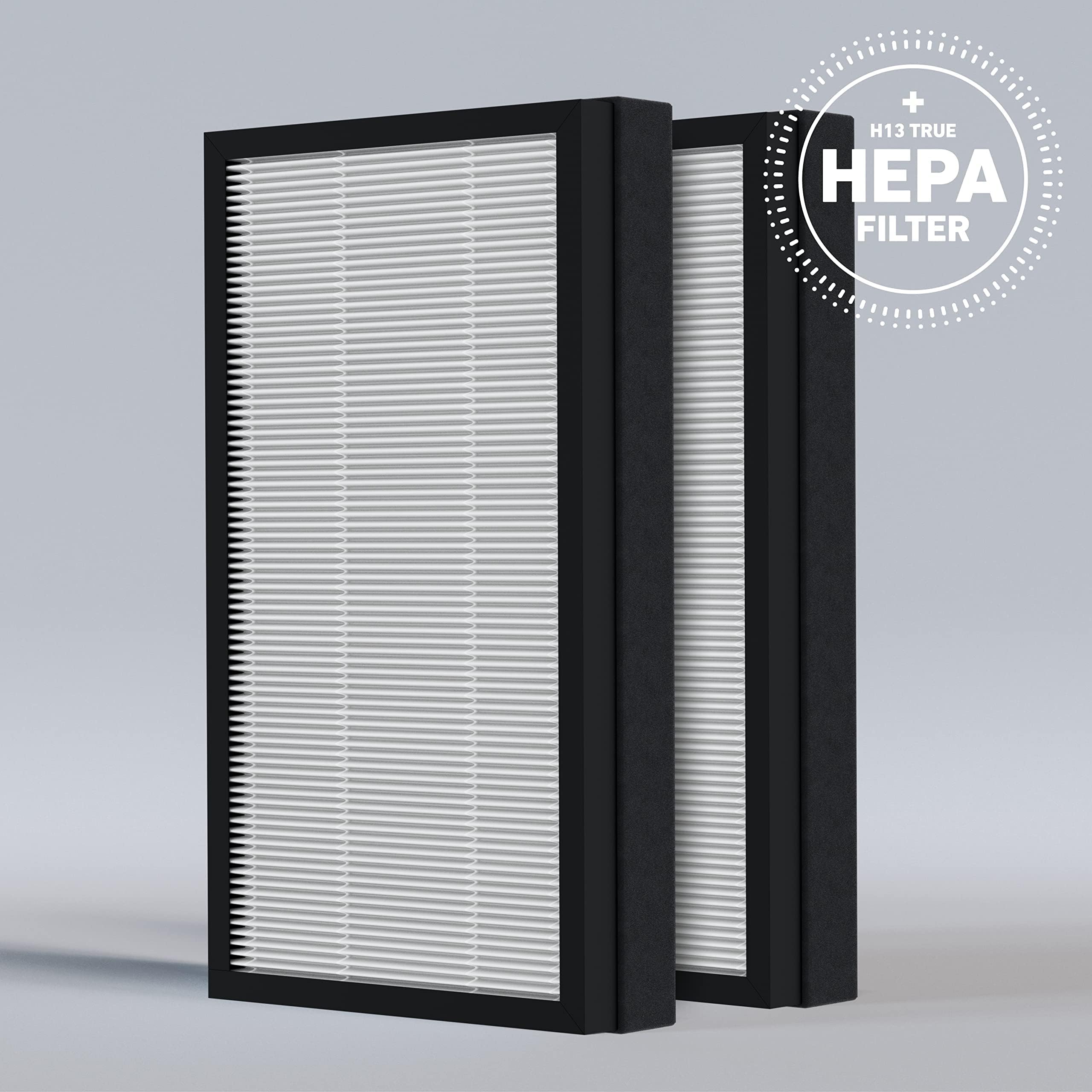 HATHASPACE Certified Replacement Filter for HSP003 Dual Filtration HEPA Air Purifier, 1 Set (H13 True HEPA)