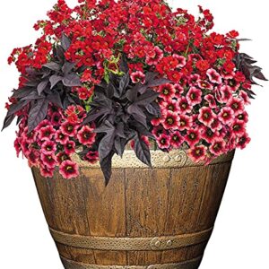 Classic Home and Garden Whiskey Plastic Resin Flower Pot Barrel Planter, 15", Oak Brown (2 Pack)